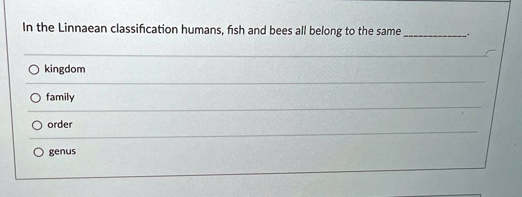 In the Linnaean classification, humans, fish, and bees all belong to ...