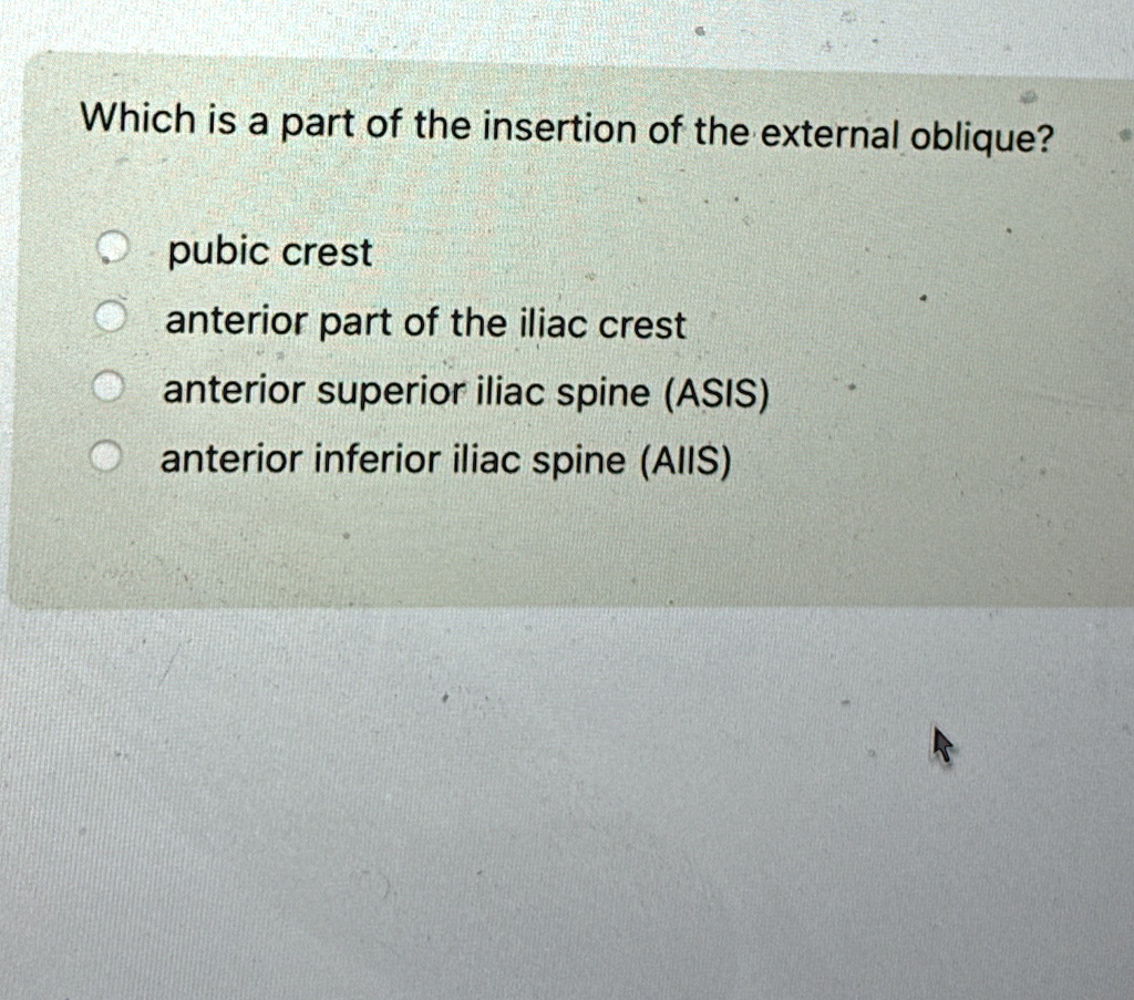which is a part of the insertion of the external oblique pubic crest ...