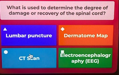 what is used to determine the degree of damage or recovery of the ...