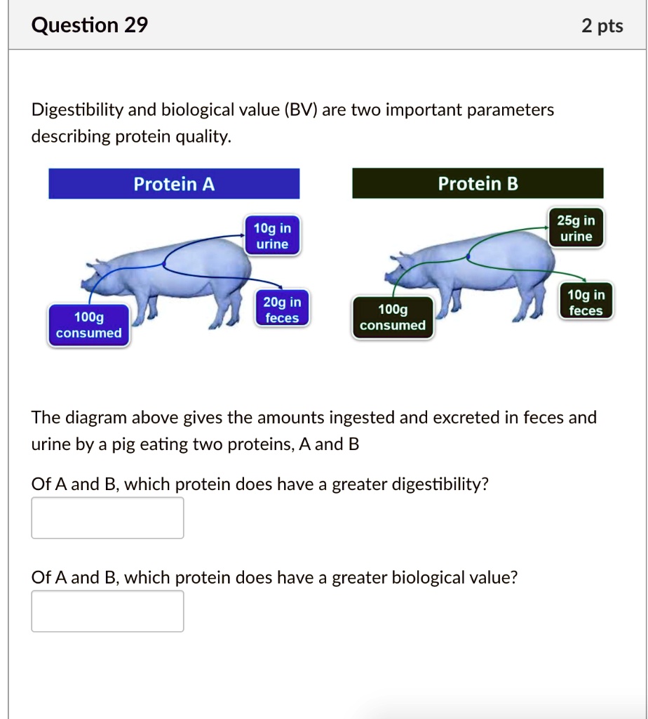 SOLVED: Question 29 2 pts Digestibility and biological value (BV) are ...