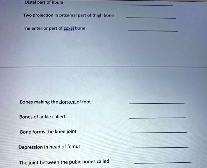 distal part of fibula two projection in proximal part of thigh bone the anterior part of coxal ...
