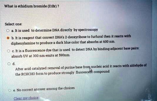SOLVED: What is ethidium bromide (EtBr) ? Select one Itis used t0 ...