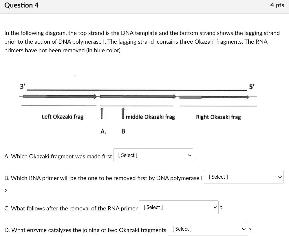 question 4 4 pts in the following diagram the top strand is the dna ...