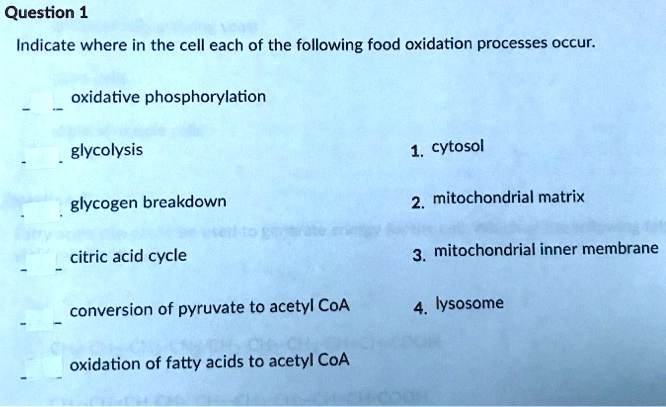 SOLVED: Question L Indicate where in the cell each of the following ...