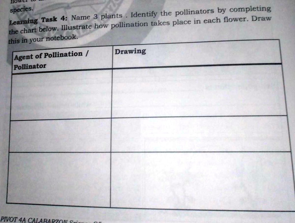 Learning Task 4: Name 3 plants. Identify the pollinators by completing ...