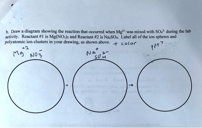 SOLVED: Draw a diagram showing the reaction that occurred when Mg2+ was ...