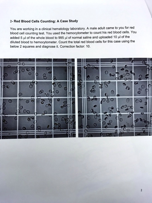 red blood cells counting case study you are orking clinical nema tology ...