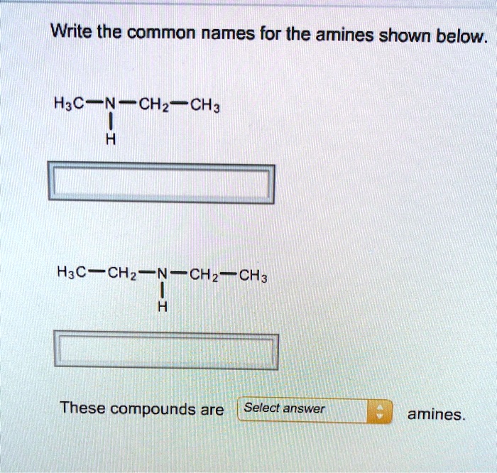 SOLVED: Write the common names for the amines shown below. H2C-NH-CH3 H2C-CH2-NH2 CH3-CH2-NH2 ...