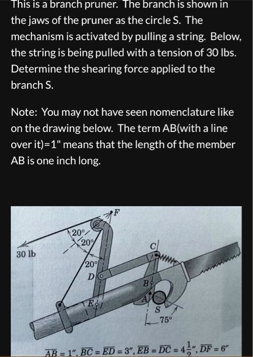 SOLVED: This is a branch pruner. The branch is shown in the jaws of the ...