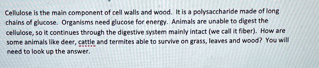 SOLVED: 'Cellulose Is the main component of cell walls and wood. It Is ...