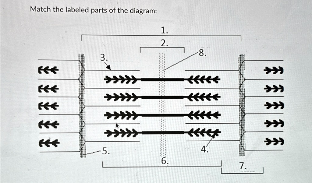 Match the labeled parts of the diagram: Match the labeled parts of the ...