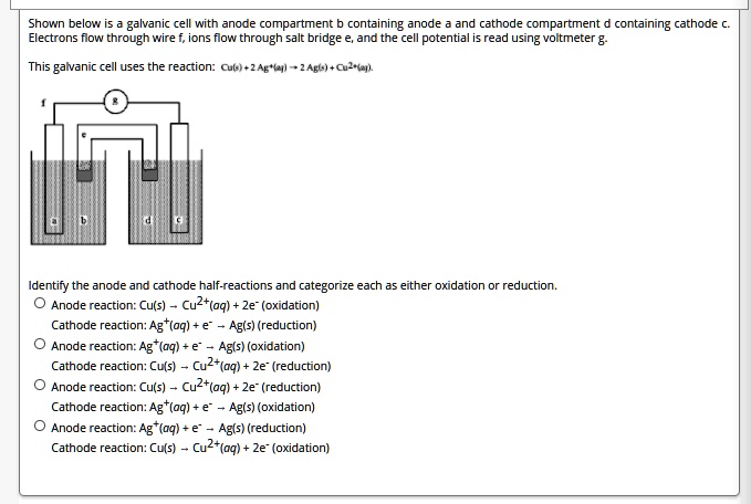SOLVED: Shown below is a galvanic cell with an anode compartment ...
