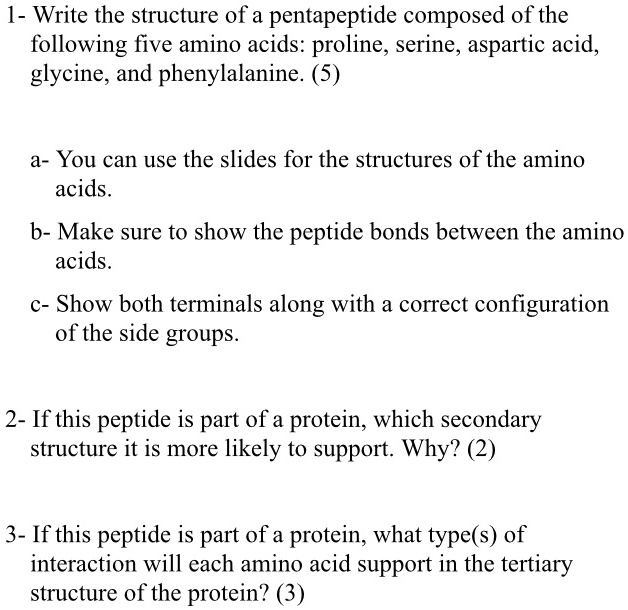1 write the structure of a pentapeptide composed of the following five ...