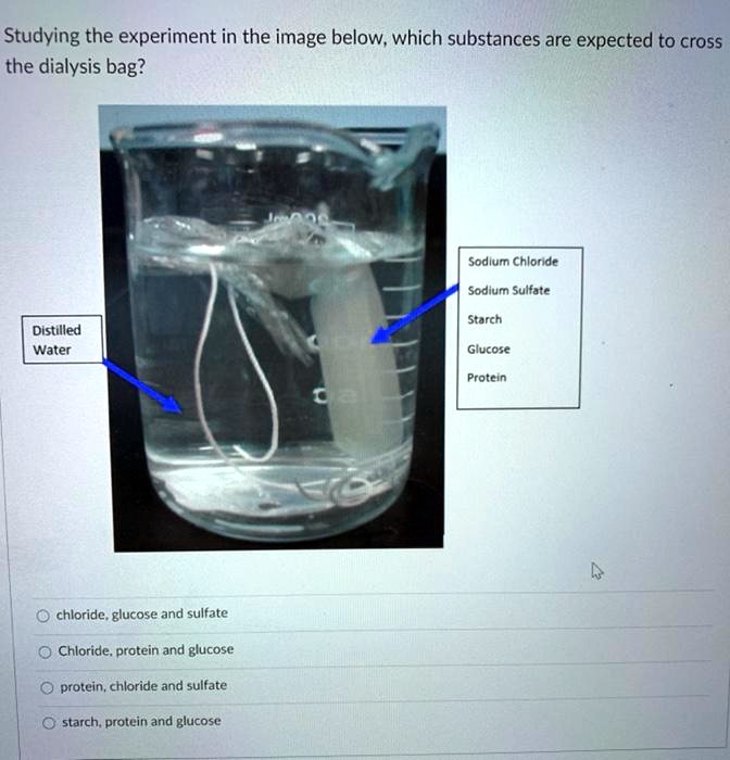 Studying the experiment in the image below, which substances are ...