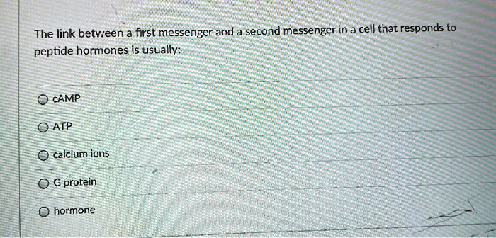 SOLVED: The link between a first messenger and second messenger in a ...