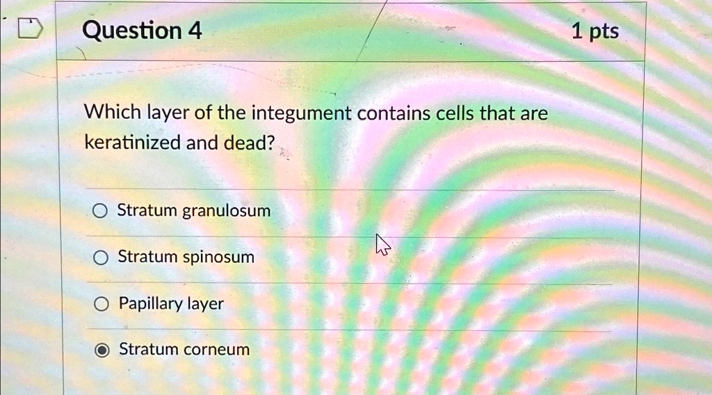 SOLVED: Question 4 1 pts Which layer of the integument contains cells ... SOLVED: Question 4 1 pts Which layer of the integument contains cells ...