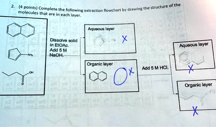 SOLVED: (4 points) structure of the Complete the following extraction flowchart by drawing the ...