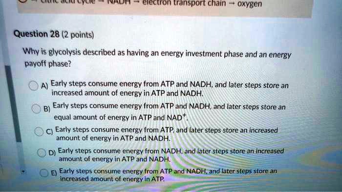 SOLVED: Electron transport chain oxygen Question 28 (2 points) Why is ...