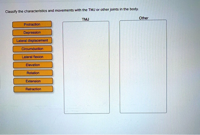 SOLVED: Classify the characteristics and movements with the TMJ or ...
