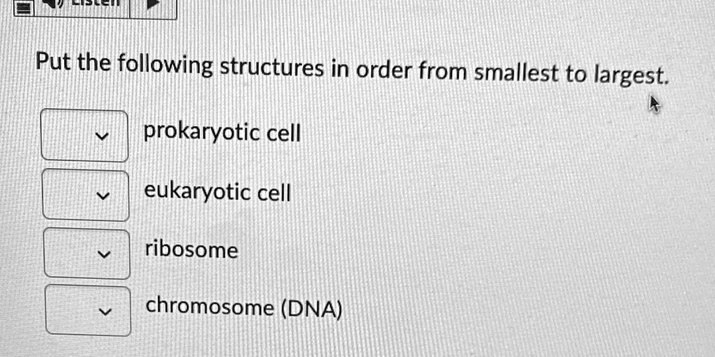 'Put the following structures in order from smallest to largest: prokaryotic cell eukaryotic ...