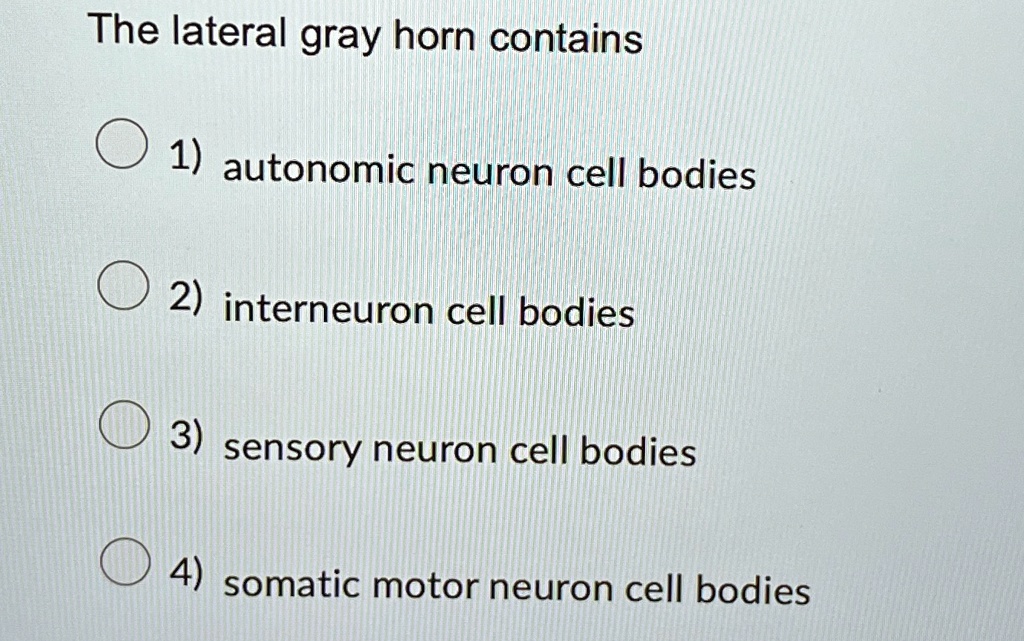 the lateral gray horn contains 1 autonomic neuron cell bodies 2 ...