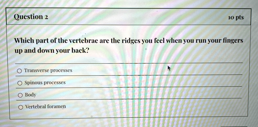 question 2 10 pts which part of the vertebrae are the ridges you feel ... question 2 10 pts which part of the vertebrae are the ridges you feel ...