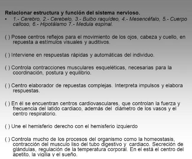 SOLVED: necesito ayuda por favor Relacionar estructura y función del ... SOLVED: necesito ayuda por favor Relacionar estructura y función del ...