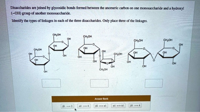 Disaccharides are joined by glycosidic bonds formed between the ...