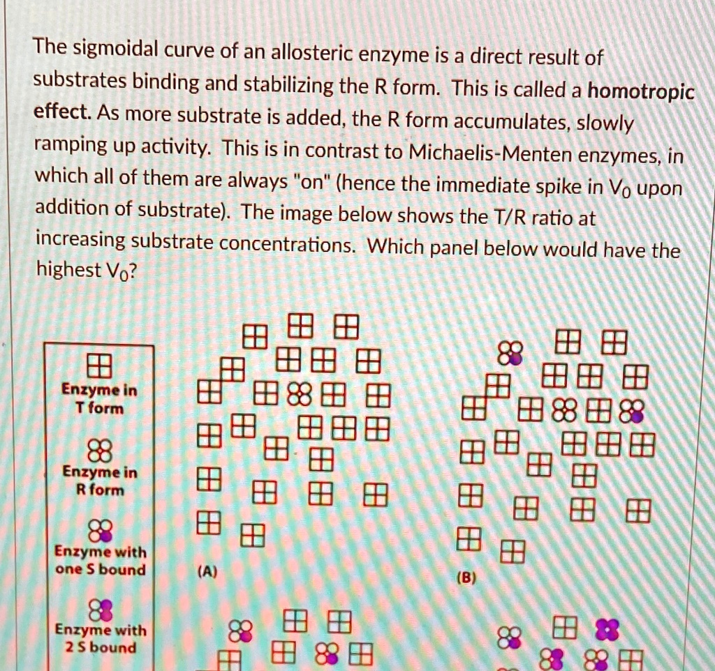 The Sigmoidal Curve Of An Allosteric Enzyme Is A Direct Result Of Substrates Binding And