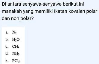 SOLVED: bantuin ya, makasih:) Di antara senyawa-senyawa berikut ini manakah yang memiliki Ikatan ...