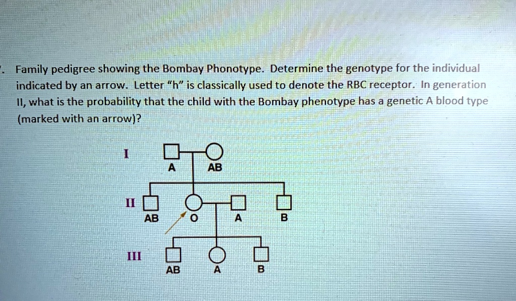 family pedigree showing the bombay phonotype determine the genotype for ...