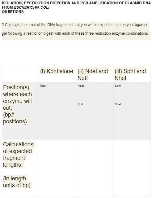 ISOLATION, RESTRICTION DIGESTION AND PCR AMPLIFICATION OF PLASMID DNA ...