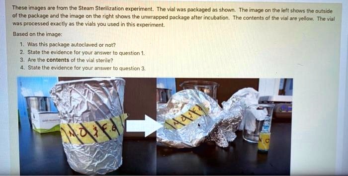 SOLVED: These images are from the Steam Sterilization experiment. The ...