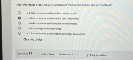After interphase of the cell cycle and before mitosis, the human skin ...