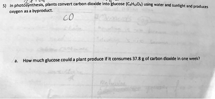 5) In photosynthesis, plants convert carbon dioxide into glucose (C6H12O6) using water and ...