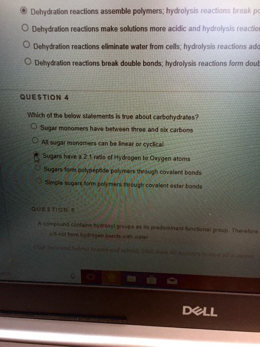 SOLVED: Dehydration reactions assemble polymers; hydrolysis reactions ... SOLVED: Dehydration reactions assemble polymers; hydrolysis reactions ...