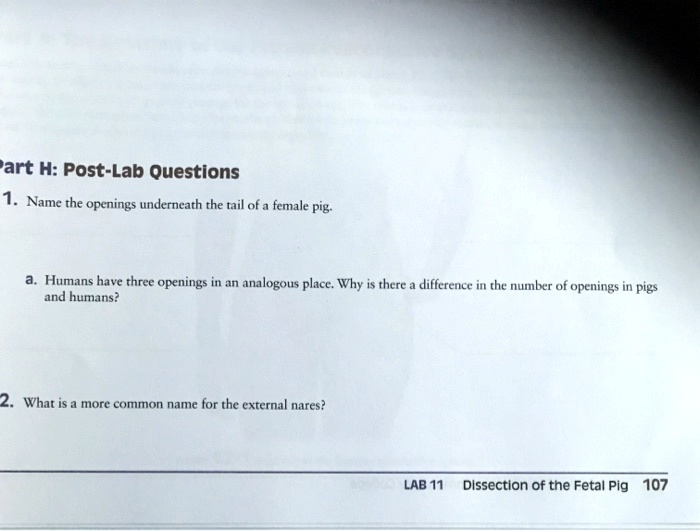 Part H: Post-Lab Questions 1. Name the openings underneath the tail of ...