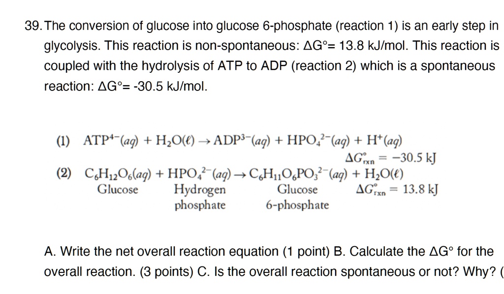 Hydrolysis Reaction Equation