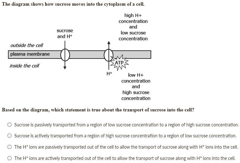 SOLVED: 'PLEASE HELP!!!!!!!!!!!!!!!!!!!!!!!!!!!!!!!!!!!!!!!!!!!! The ...