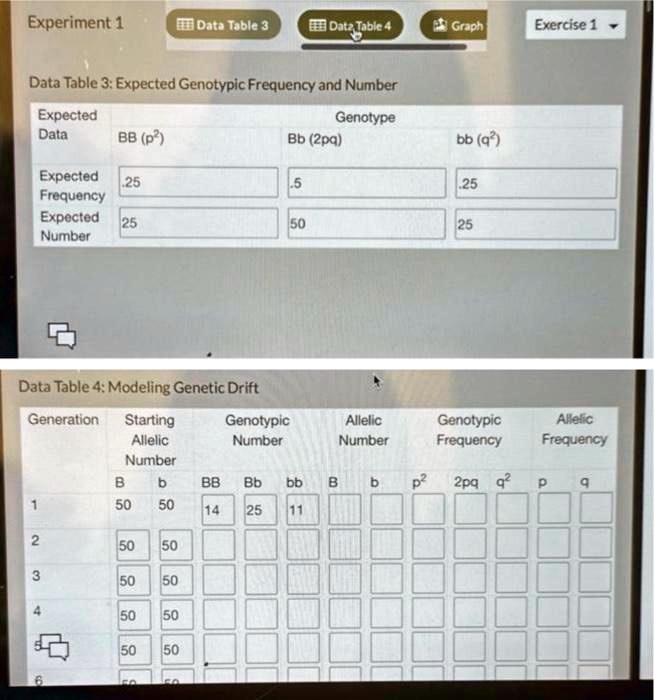 find the allelic number frequency and genotypic frequency experiment1 ...