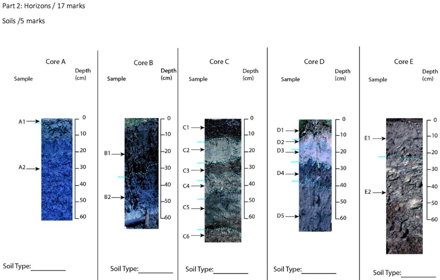 part 2 horizons 17 marks soils 5 marks core core b depth sample cm core ...