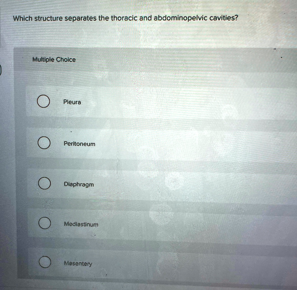 which structure separates the thoracic and abdominopelvic cavities ...