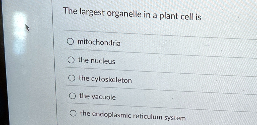the largest organelle in a plant cell is o mitochondria the nucleus the ...