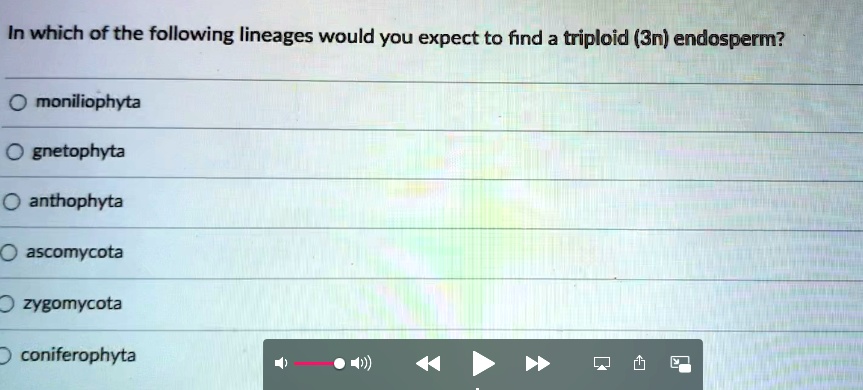 SOLVED: In which of the following lineages would you expect to find a ...