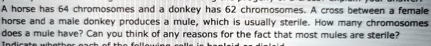A horse has 64 chromosomes and a donkey has 62 chromosomes...