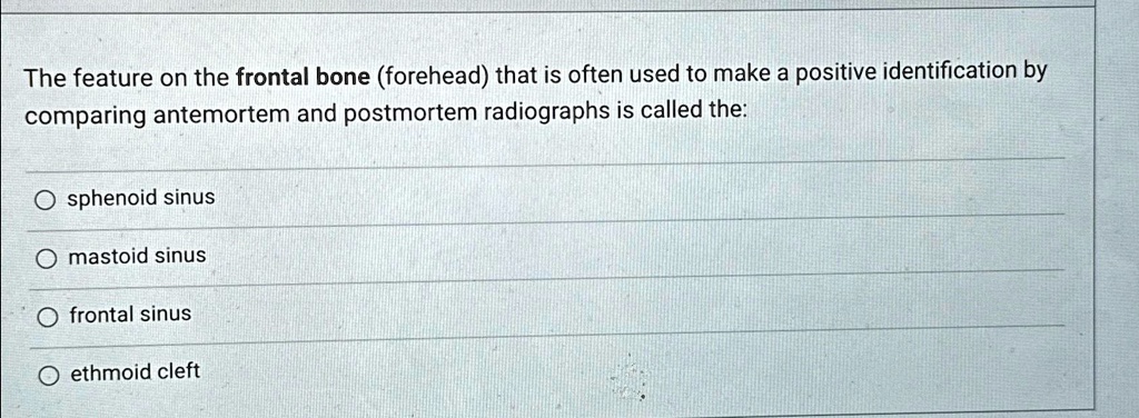 The feature on the frontal bone (forehead) that is often used to make a ...
