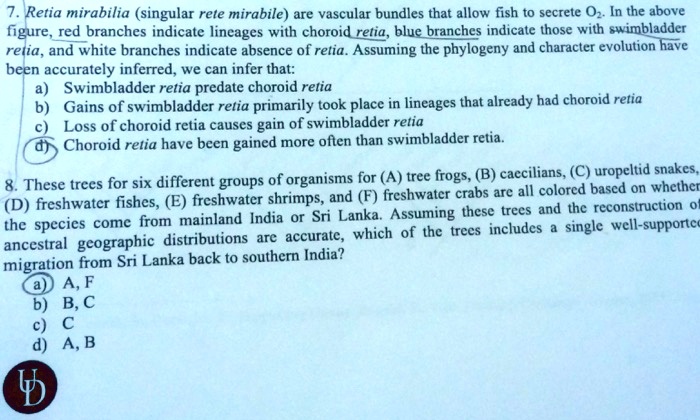 SOLVED:Retia mirabilia (singular rete mirabile) are vascular bundles ...