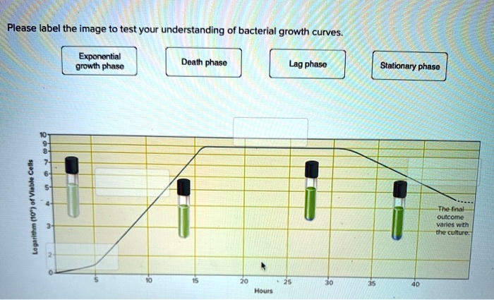 SOLVED: Please label the image to test your understanding of bacterial ...
