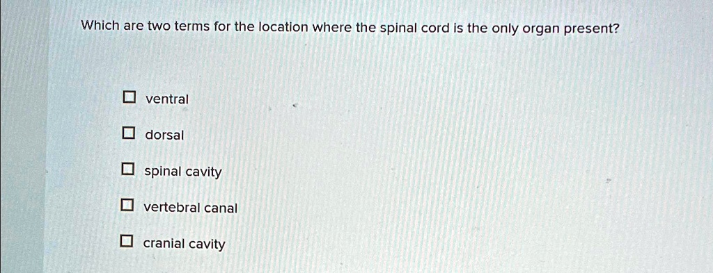 Which are two terms for the location where the spinal cord is the only ...