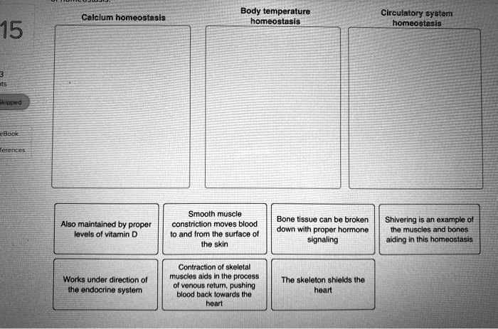 Calcium homeostasis Body temperature homeostasis Circulatory system ...